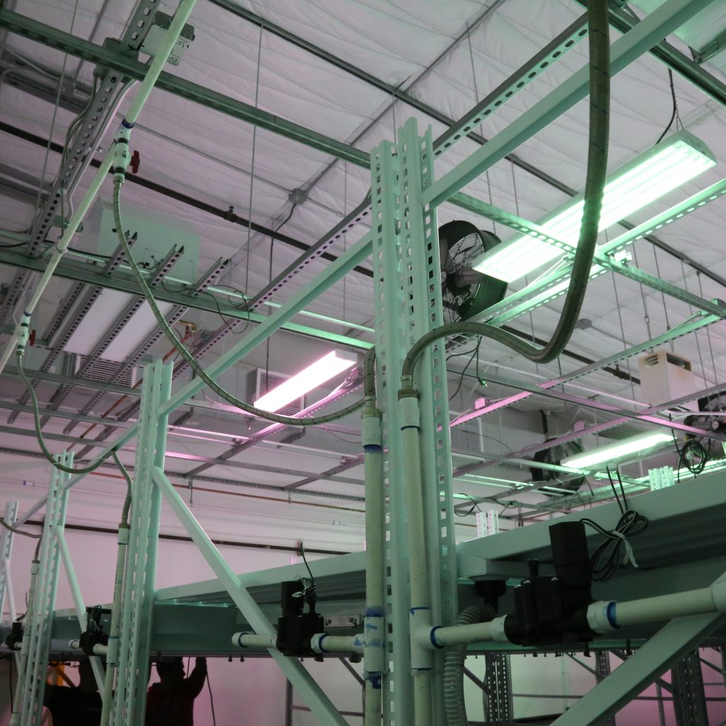 Irrigation Lines for Mobile Vertical Grow Racks - Pipp Horticulture