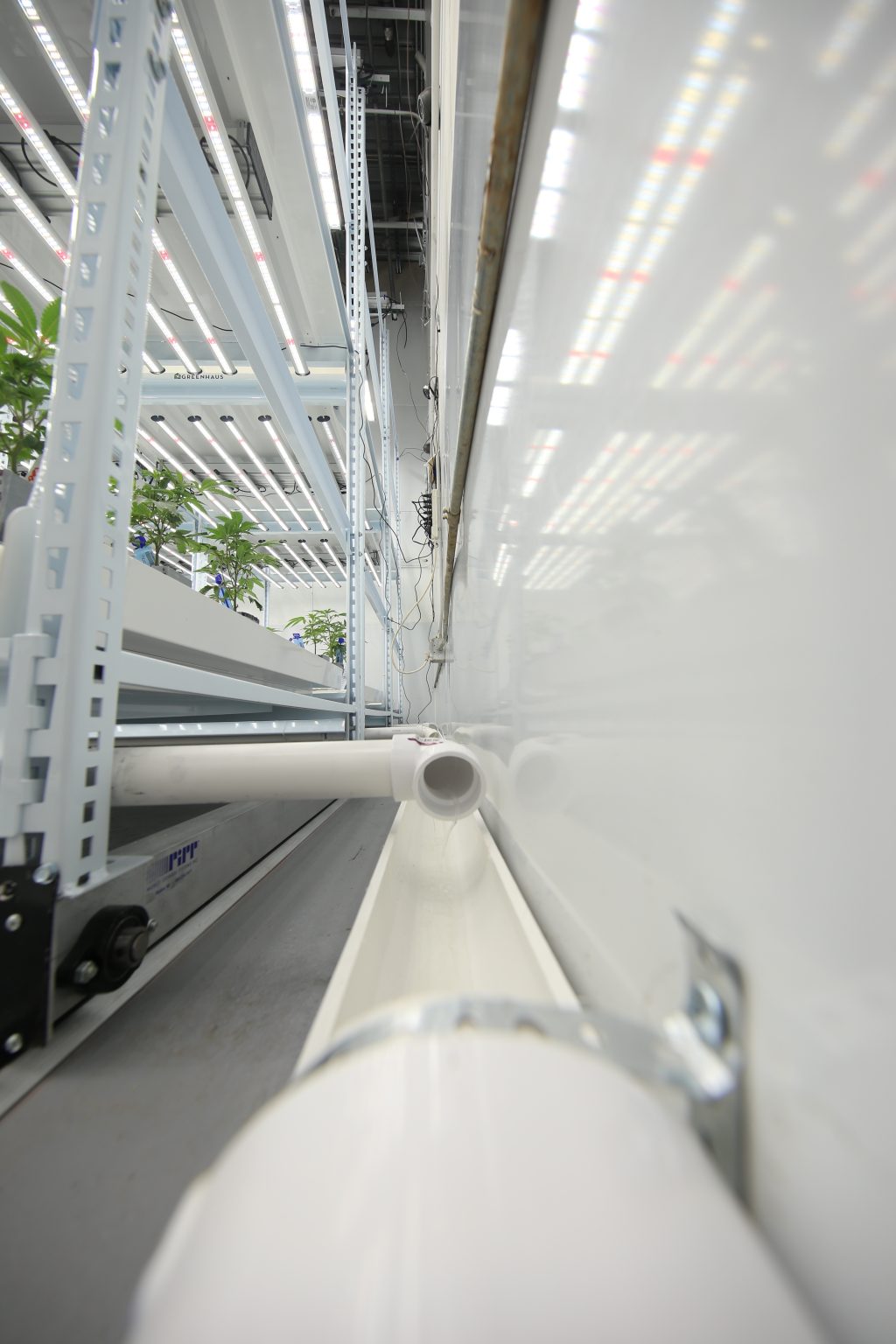 Wall Drain off Mobile Vertical Racks - Pipp Horticulture