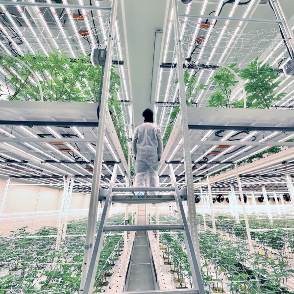 Elevate Platform System for Multi-Tier Vertical Farming