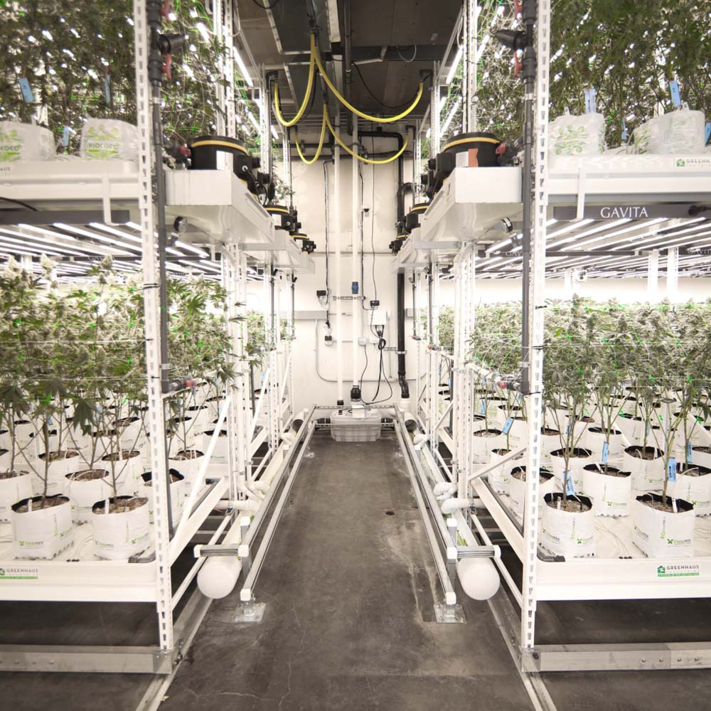 Vertical Farming | What To Know Before You GROW UP!
