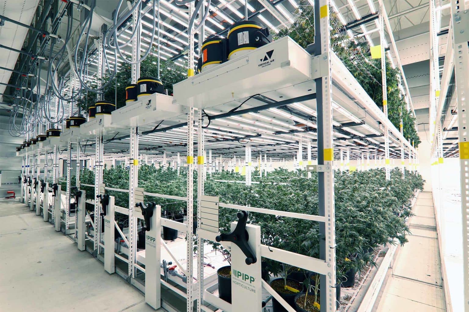Vertical Cannabis Grow Systems (Everything You Need to Know)