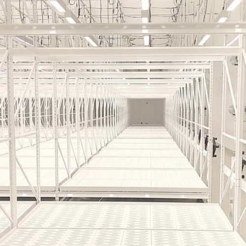 Cannabis Grow Trays: Designed For Maximum Performance