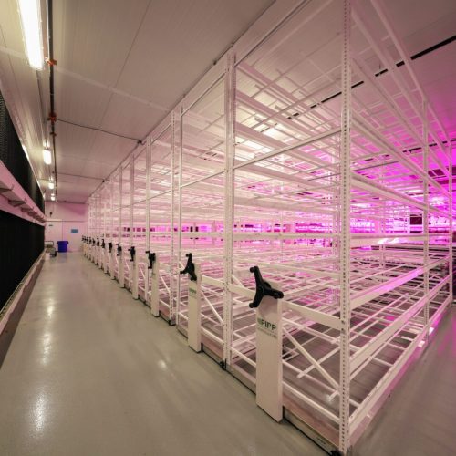 Cannabis Grow Racks & Vertical Grow Systems (Top Rated)